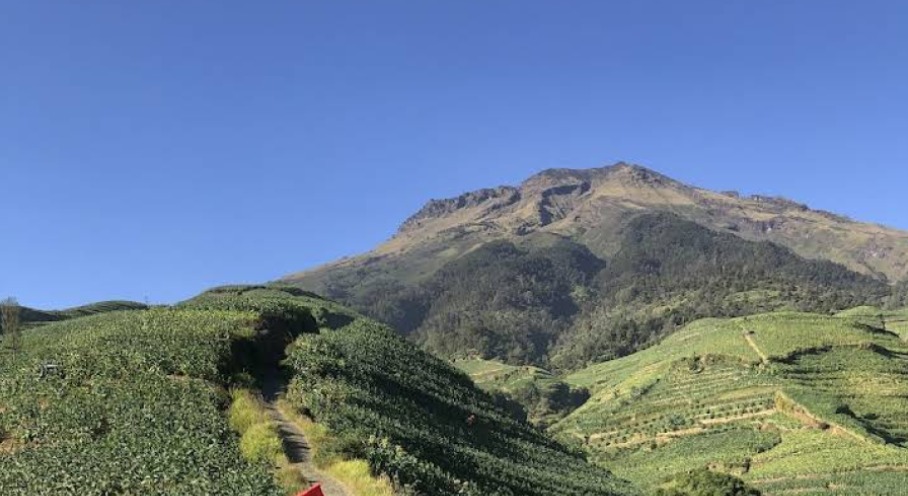 Pesona Desa Glapansari Pamerkan View Sindoro dan Sumbing - Jateng Kita